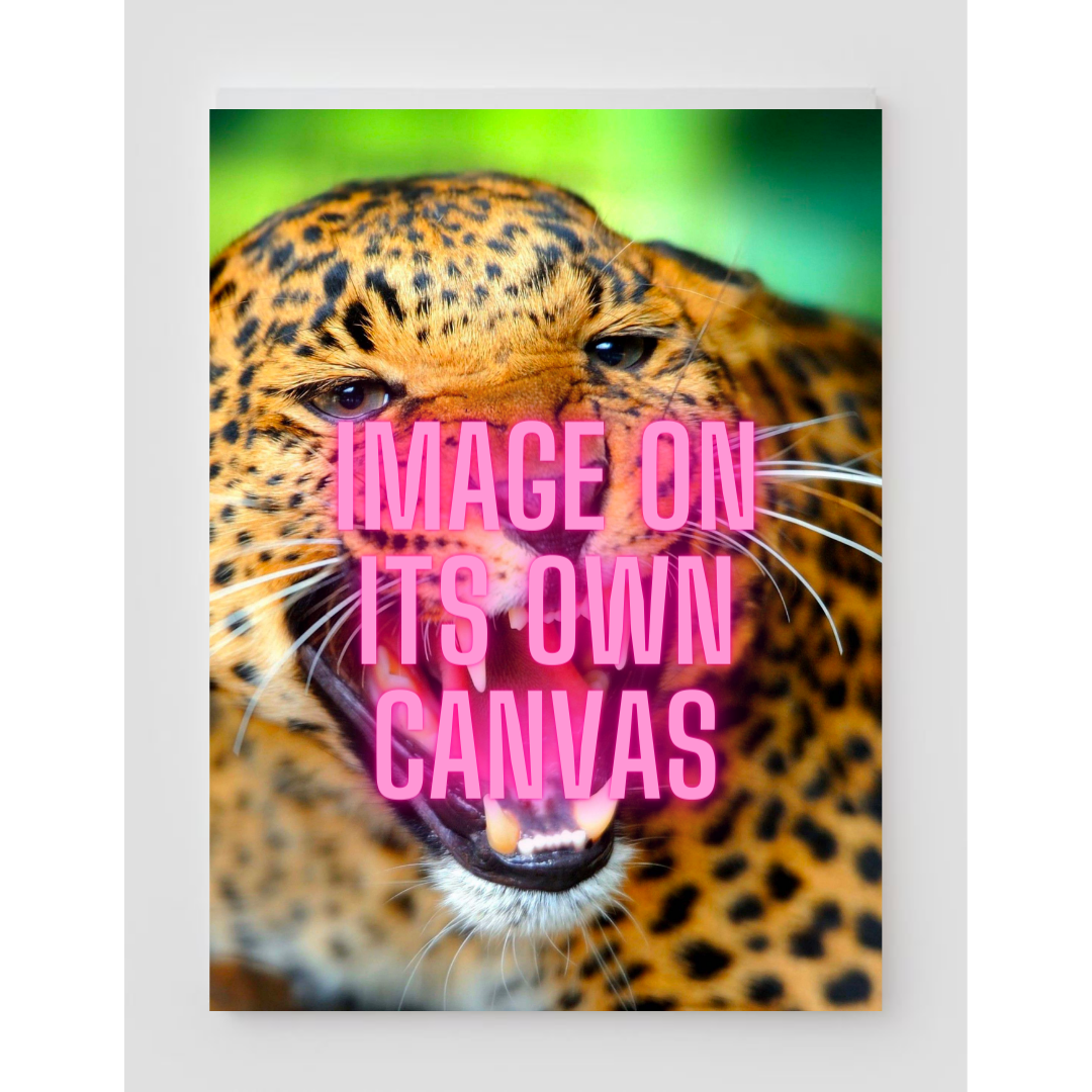Pink Leopard Quotes Heart Leopard Print, Wild One, Love Bug